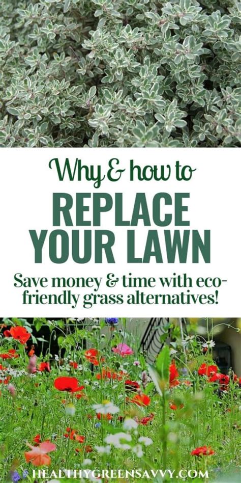 Grass Alternatives Why How To Replace Your Lawn