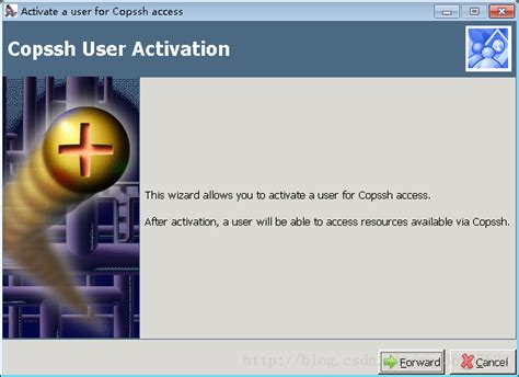 Window下搭建git服务器 Copssh安装配置 Csdn博客