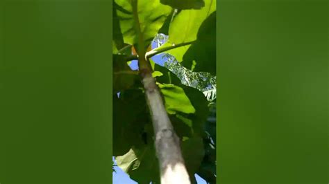 Fypppppppppppppppppppppp Pppppppppppppppppppppppppppppppppppppppp