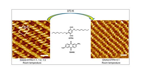 From A Two Dimensional Supramolecular Network To One Dimensional