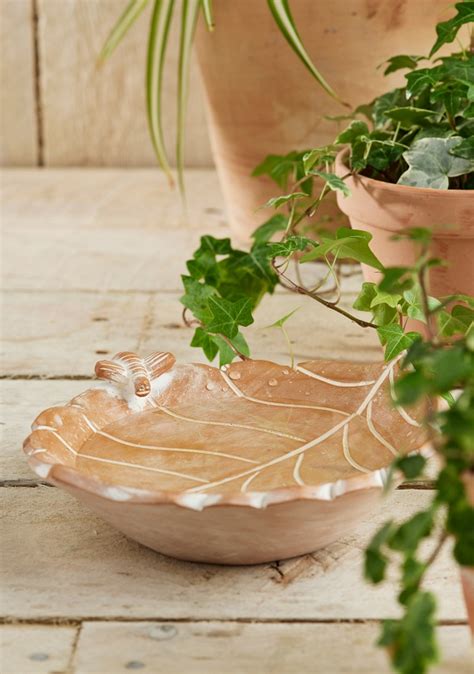 Terracotta Leaf Bird Bathfeeder Bee Namaste Uk Ltd