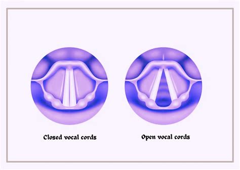 What Is Vocal Fry