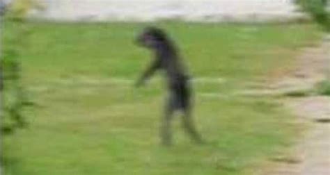 The Loveland Frogman The Humanoid Frog Of Ohio Legend