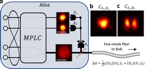 Mode Conversion For Entanglement Distribution A Illustration Of