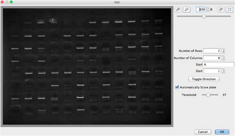 generating pcr plates — bwp informatics sops 1 0 documentation