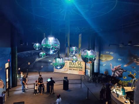Odysea Aquarium Casago Phoenixscottsdale