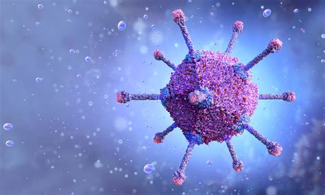 Enteroviruses Are A Key Target For Disease Prevention Vactech Oy