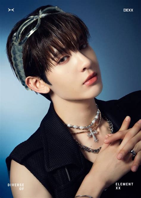 Dexx Members Profile Updated Kpop Profiles