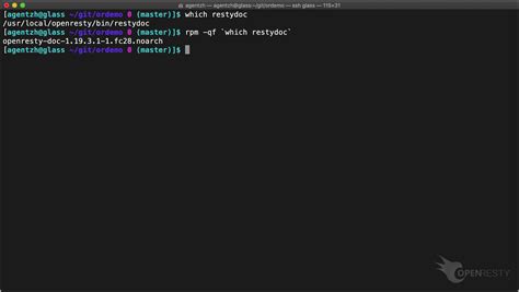 Lookup Openresty Documentation On Terminal With Restydoc Openresty