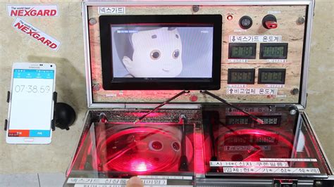 넥스가드썬팅 열차단 실험 L사 신차사은품 썬팅의 진실 썬팅브랜드 루마썬팅 3m썬팅 레이노썬팅 보배드림 중고차 수입차 신차 쿠폰썬팅 열차단썬팅 줌마렐라