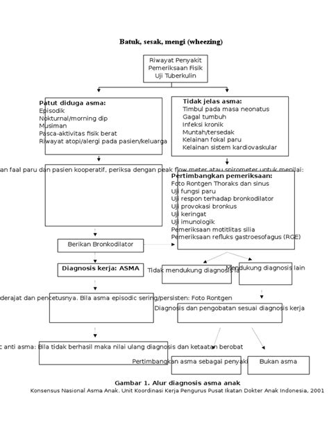 Algoritma Diagnosis Asma Dan Tatalaksana Jangka Panjang Pdf