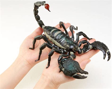 Worlds Largest Scorpion