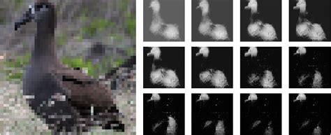 Figure From Learning A Weight Map For Weakly Supervised Localization Semantic Scholar
