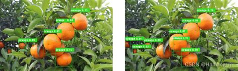 【毕业设计选题】基于深度学习的柑橘果实目标检测系统 yolo python 卷积神经网络 人工智能 基于深度学习的目标橘子识别方法研究 csdn博客