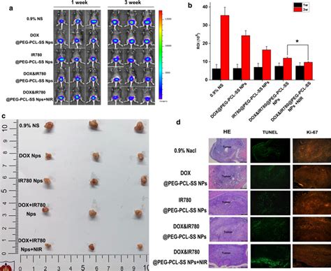 Internal Cross Linked Polymeric Nanoparticles With Dual Sensitivity For Combination Therapy Of