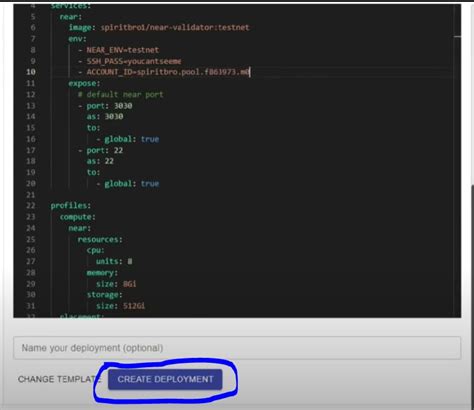 deploy near validator node and rpc node on akash devpost