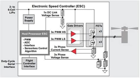 Use Sensorless Vector Control With BLDC And PMS Motors To Deliver Precise Motion Control ELE Times