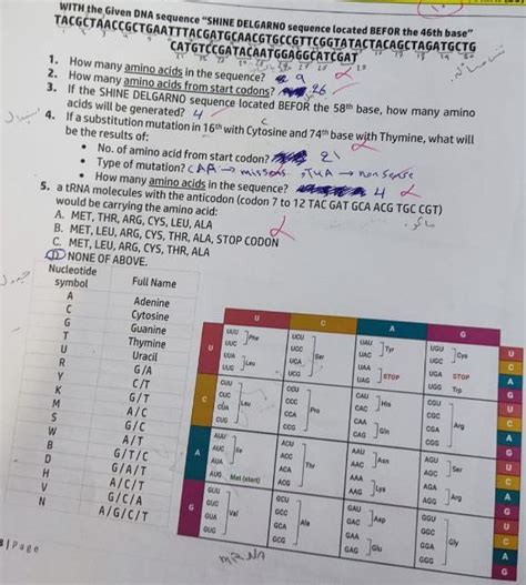 with the given dna sequence shine delgarno sequence