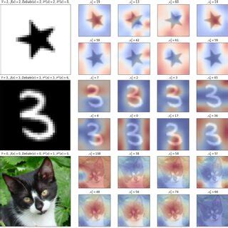Debate Explanations On CNN Models Trained On SHAPE MNIST And AFHQ Download Scientific Diagram