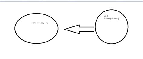 Webserver Making A Reverse Proxy To A Domain Hosted In Plesk Or