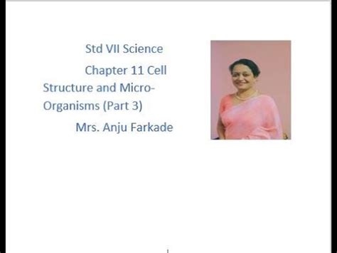 Science Std 7 Chapter 11 Cell Structure And Micro Organisms Std 7 YouTube
