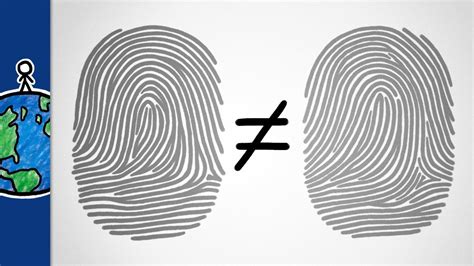 Why Are Your Fingerprints Unique