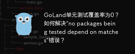 Go构建错误：为什么build Constraints Exclude All Go Files In？ Golang学习网