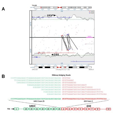 Novel And Potentially Clinically Relevant Gene Fusions Discovered By