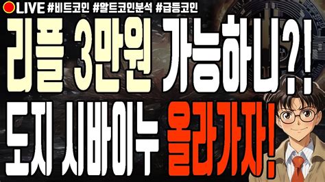 실시간 리플 3만원 가능하니 도지코인 시바이누코인 올라가자 어드벤처골드 유엑스링크 모카버스 페페 폭락 1월 2일 저녁 라이브 비트코인 불장 Youtube