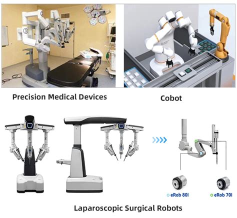 Jupiter Customized Exoskeleton Torque Joint Robotic Arm