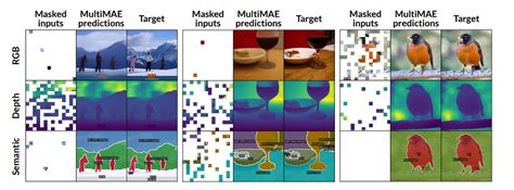 epfl s multi modal multi task masked autoencoder a simple flexible and effective vit