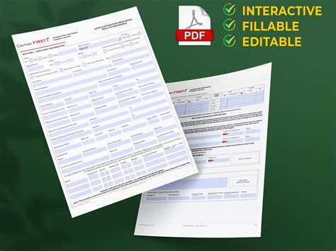 Professional Fillable Pdf Forms Pdf Editing Upwork