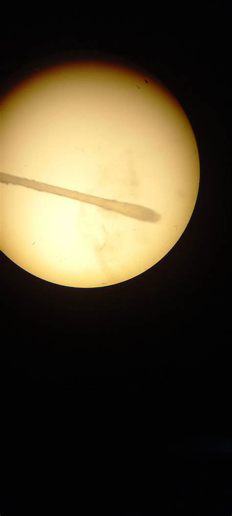 Moaz Rasool On Linkedin Microbiology Anatomy Physiology Medicalsciences