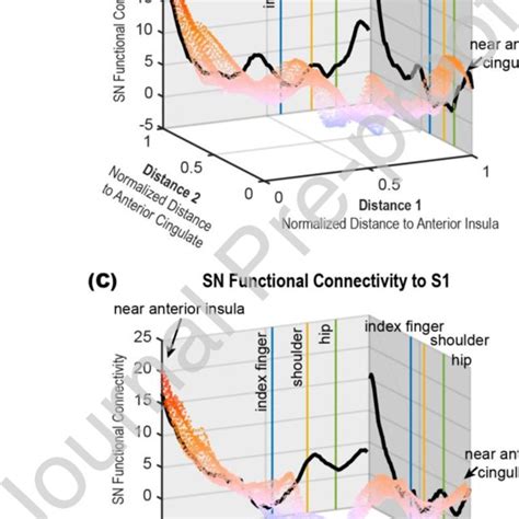Salience Network Sn Resting State Functional Connectivity Across The Download Scientific