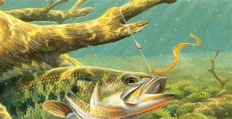 在 Python 中使用机器学习来检测钓鱼链接｜linux 中国腾讯新闻