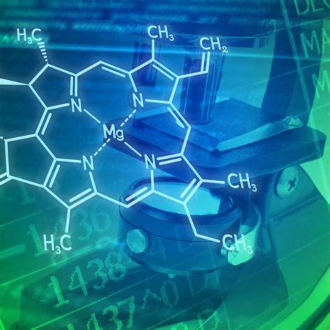 Photosynthesis Subitec