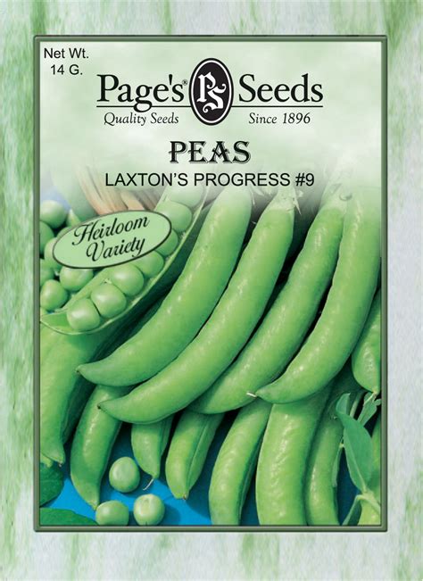 170856lrpdf The Page Seed Company Inc