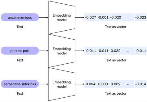 What Are Vector Embeddings Types And Use Cases