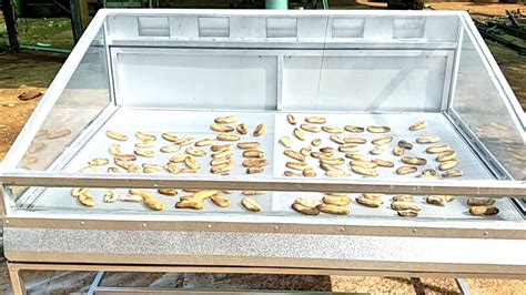 ตู้อบแห้งพลังงานแสงอาทิตย์ Youtube