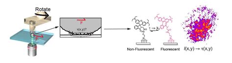 Detailed Insight Into Friction How Objects Start To Slide HIMS University Of Amsterdam