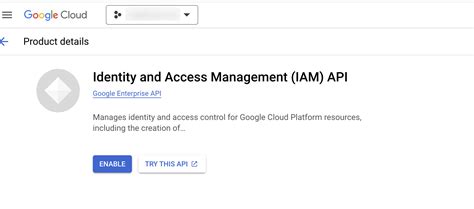 gcp sysdig docs