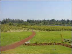 Blueberry Farms City Of Bellevue