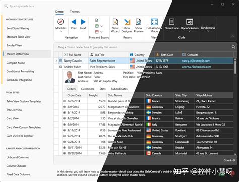 界面组件devexpress wpf v23 2 更轻量级的主题支持 知乎