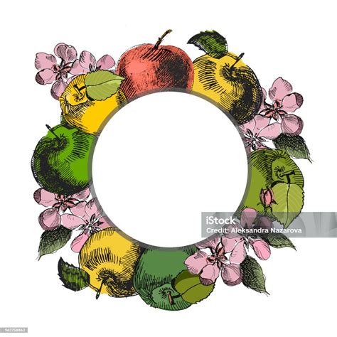 애플 밑그림입니다 빈티지 잉크 다른 사과 흰 배경에 고립의 손으로 그려진된 벡터입니다 건강한 생활방식에 대한 스톡 벡터 아트 및