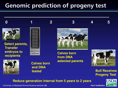 Ppt Global Impact Of Genomic Selection In Dairy Cattle Powerpoint Presentation Id 1612003