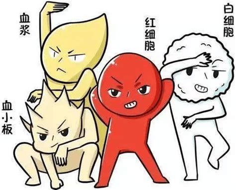 血液知识知多少——成分输血 血小板 红细胞 白细胞