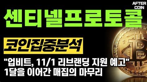 센티넬프로토콜 코인 업비트 111 리브랜딩 지원 예고 1달을 이어간 매집의 마무리 센티넬프로토콜코인전망 센티넬