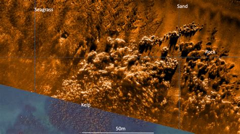 Advanced Sonar And Rov Technology Monitors Seagrass Beds Ocean Science And Technology