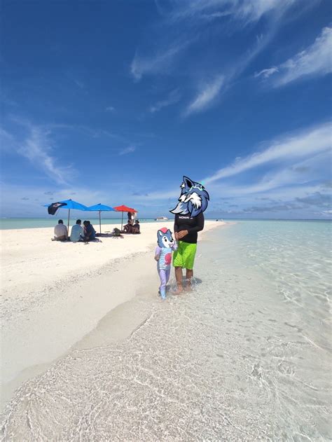 아빠와 딸 단둘이서 몰디브 여행기 6 상어와 돌고래 쥐가오리를 만난 하루 남자의 여행기 💙 Wolf Community
