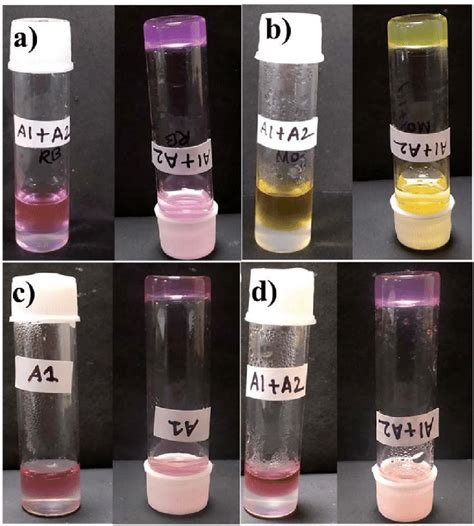 Photograph Of Dye Absorption By Hydrogel A1 A2 ¼ 1 1 A Rb And Download Scientific